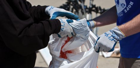 Looking to help clean your city? There's 12 cleanups across Long Beach ...