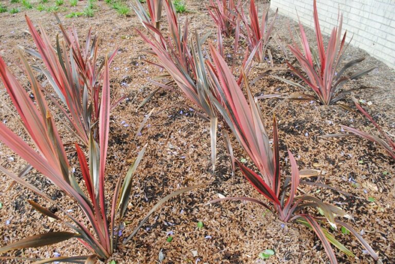 LBWD Continues Lawn-to-Garden Program, Despite End of Metropolitan Turf ...