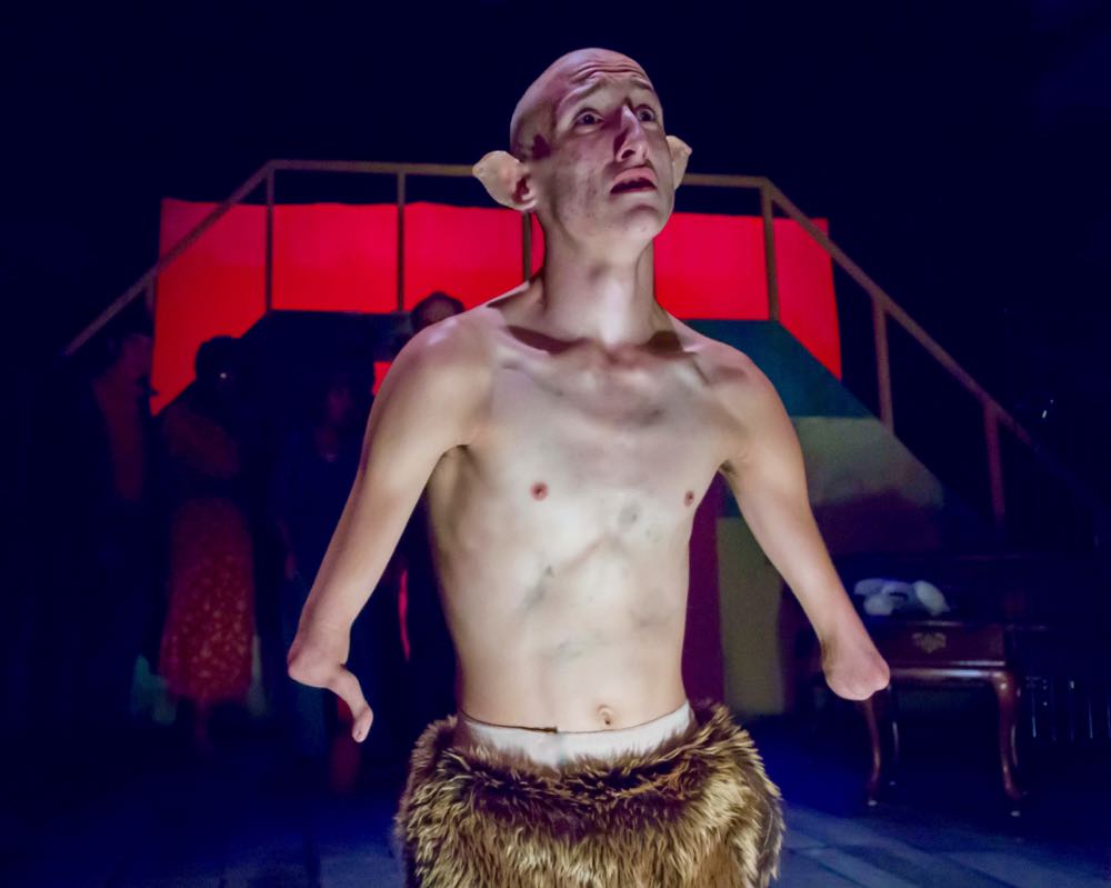Camp and Circumstance: BAT BOY, THE MUSICAL at The Long Beach Playhouse ...