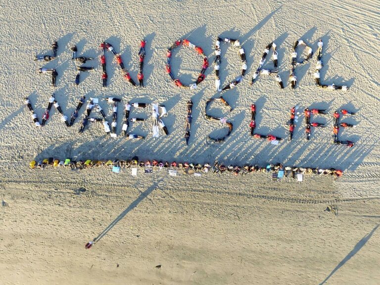 Over 200 Protesters Show Support For #NoDAPL Movement on Belmont Shore ...