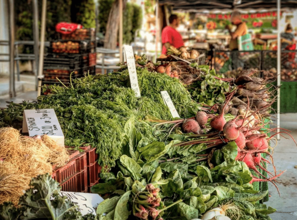 Thousands of Long Beach residents could qualify under historic CalFresh ...