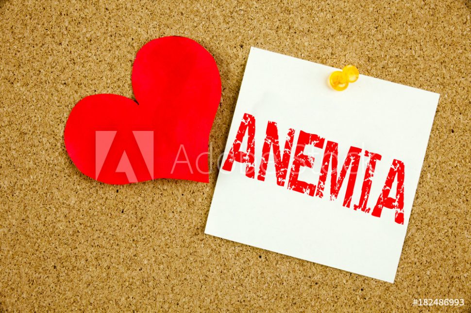 Anemia in Animals, Part 5—Treatment for Anemia • the Hi-lo