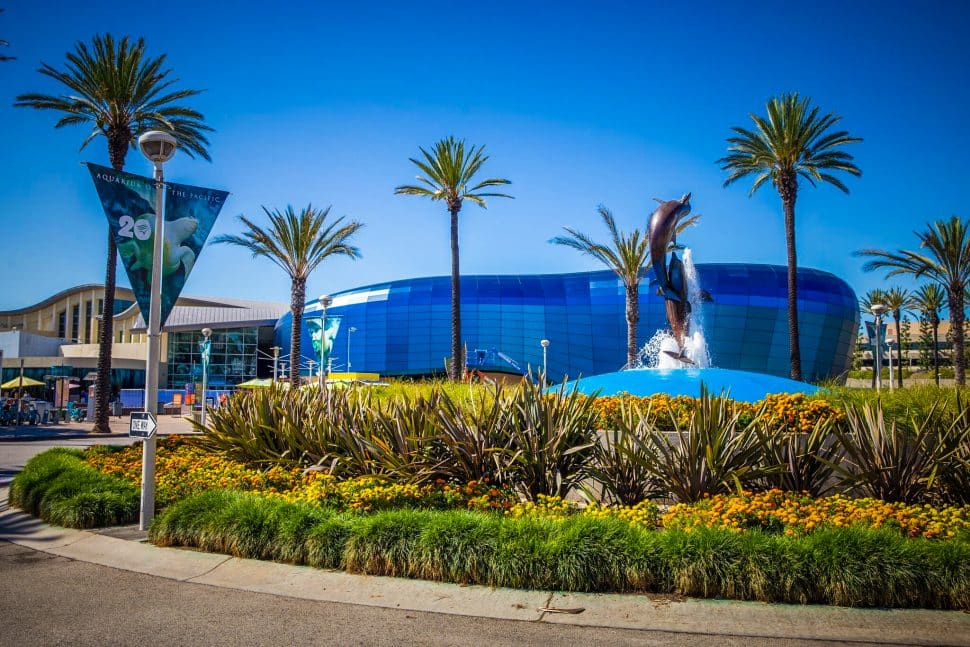 Aquarium of the Pacific finishes exterior of whale-shaped expansion ...