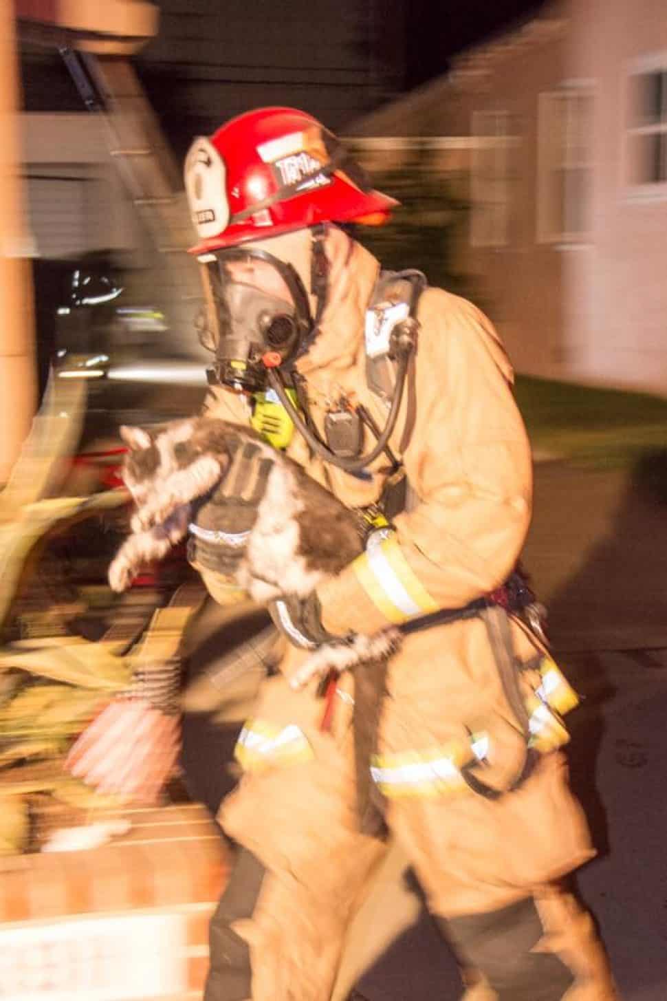 Firefighters rescue cat from blaze in neighborhood near the Traffic ...