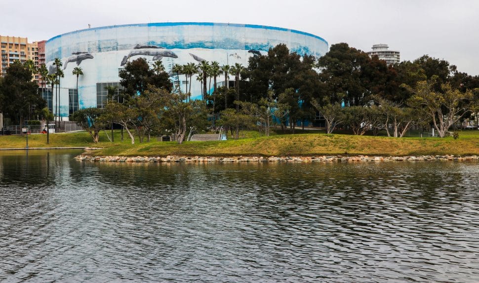 Local history: Long Beach Arena's opening in 1962 • Long Beach Post News