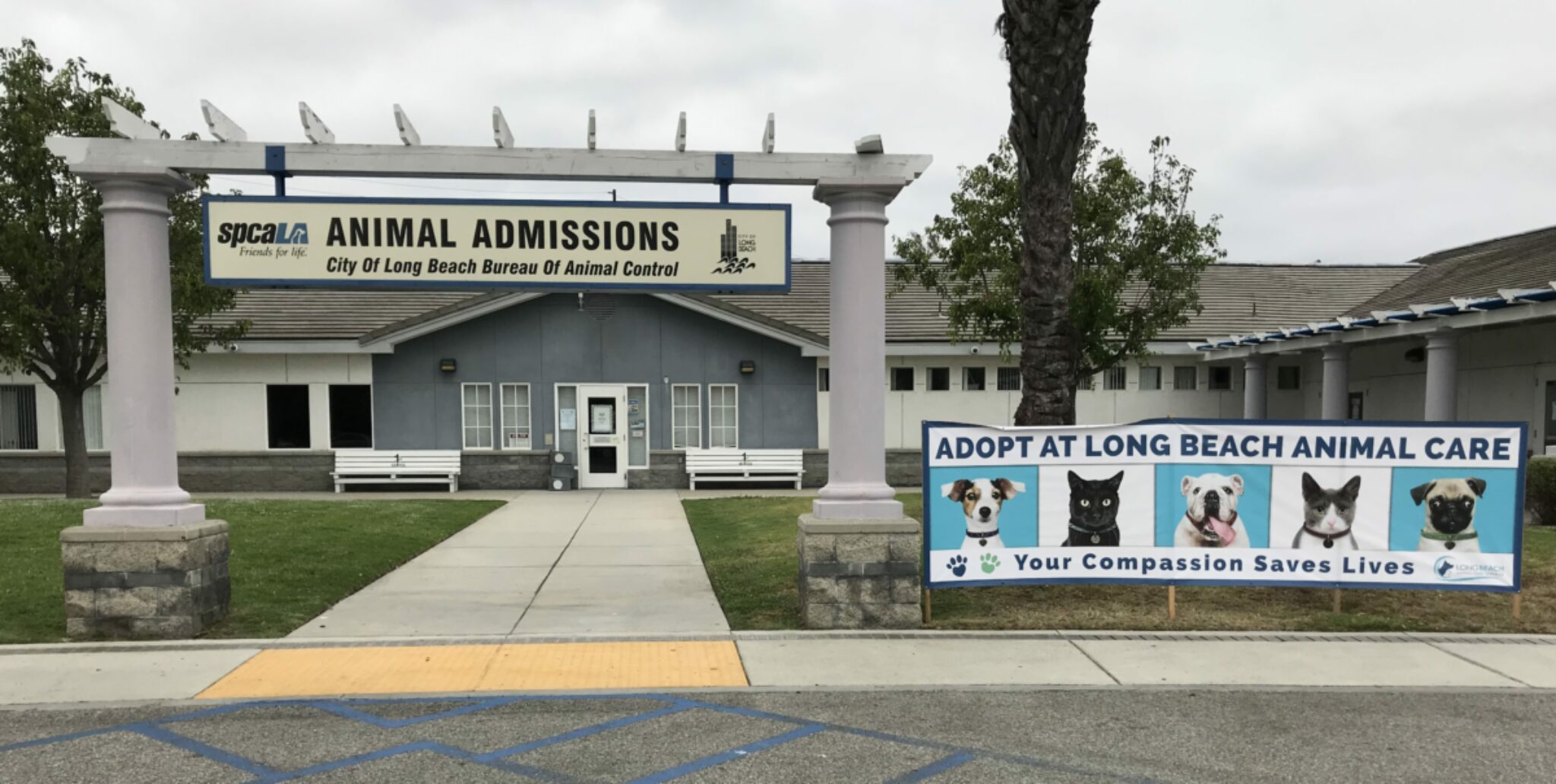 Long Beach kicks SPCALA out of its animal shelter, saying it violated ...