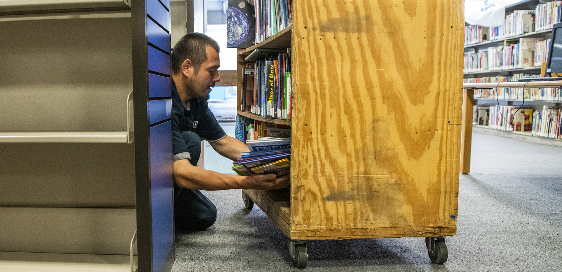 IN PICTURES: You hate moving books? Try moving a whole library • Long ...