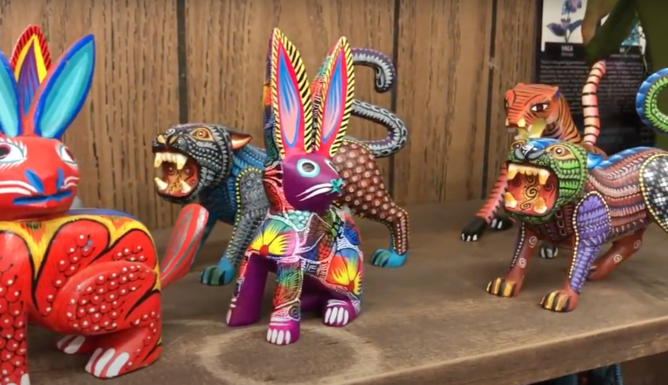 VIDEO: North Long Beach plant nursery offers a Oaxacan spirit-animal ...