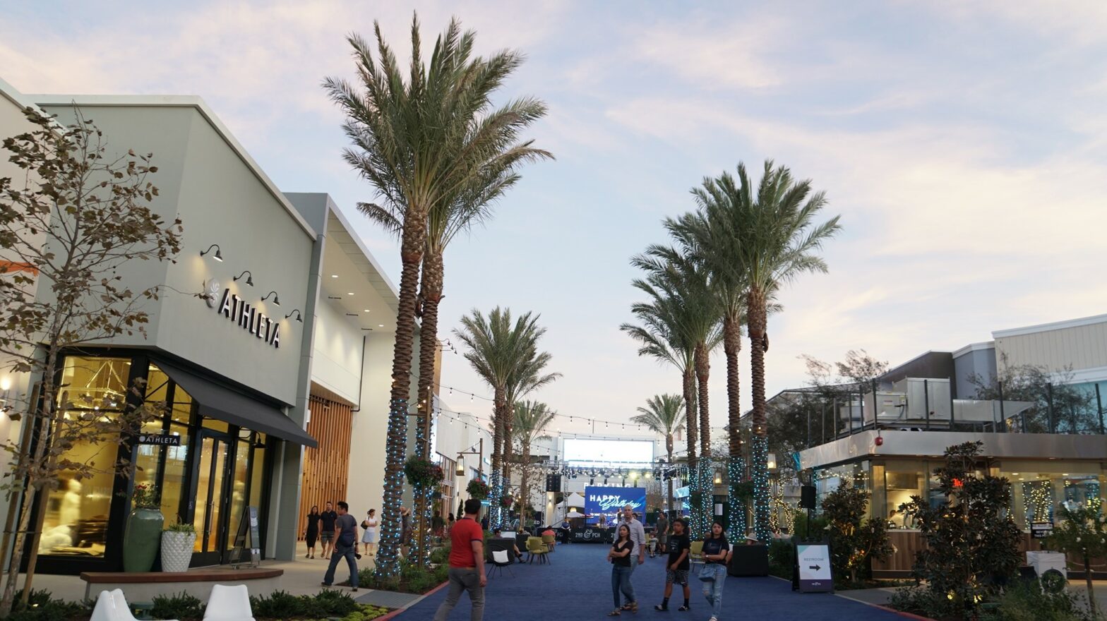 Things to do in Long Beach this weekend including... art shows, pop-ups and cat yoga • the Hi-lo