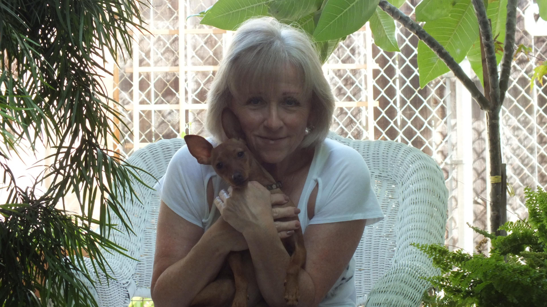 Local animal advocate implements after-school humane education program ...