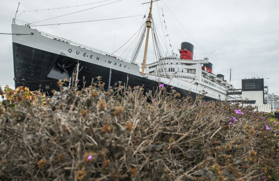 New Queen Mary report says urgent repairs needed to keep ship viable in ...