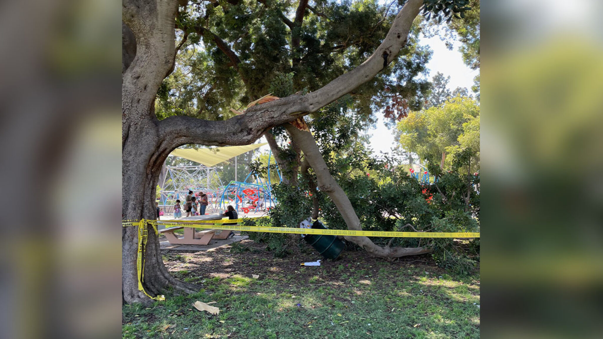 City will pay nearly $1.4 million to settle lawsuit alleging falling ...