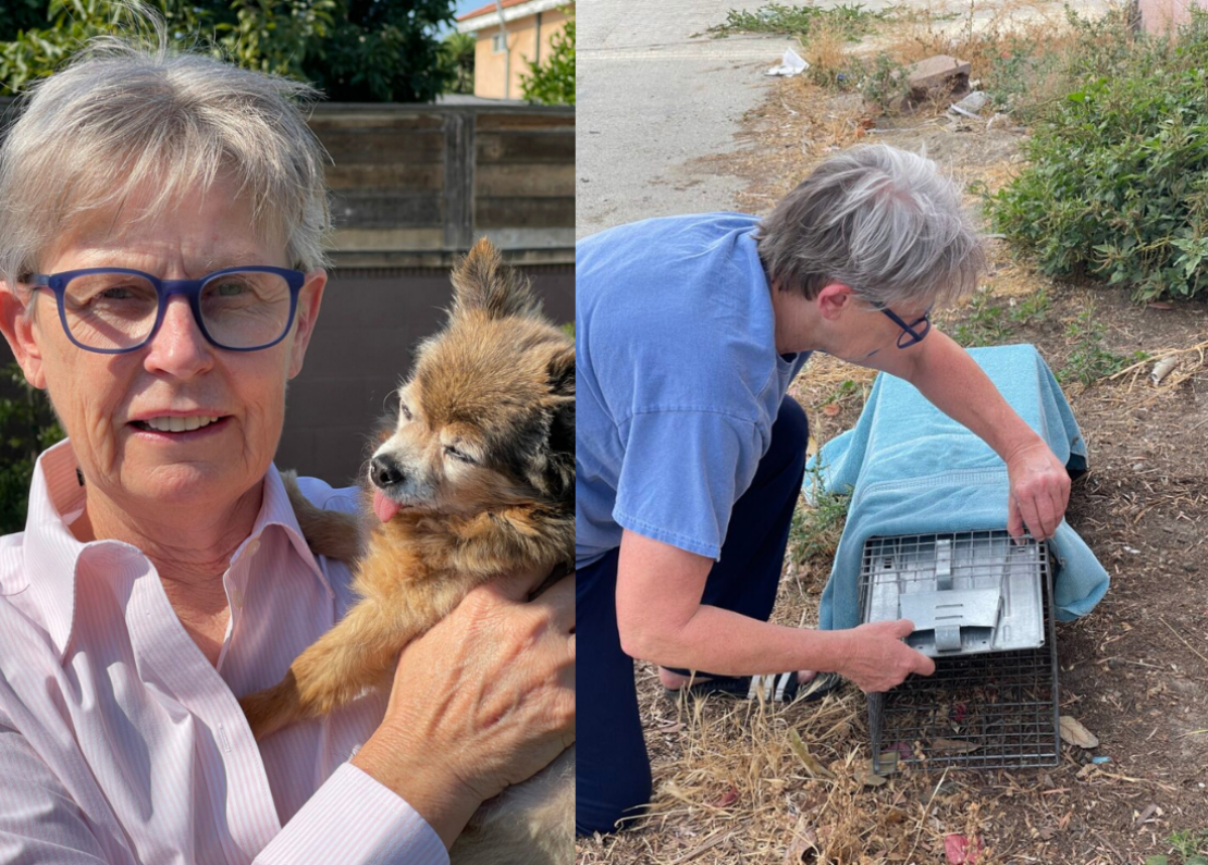 Long Beach resident creates platform to coordinate the efforts of ...