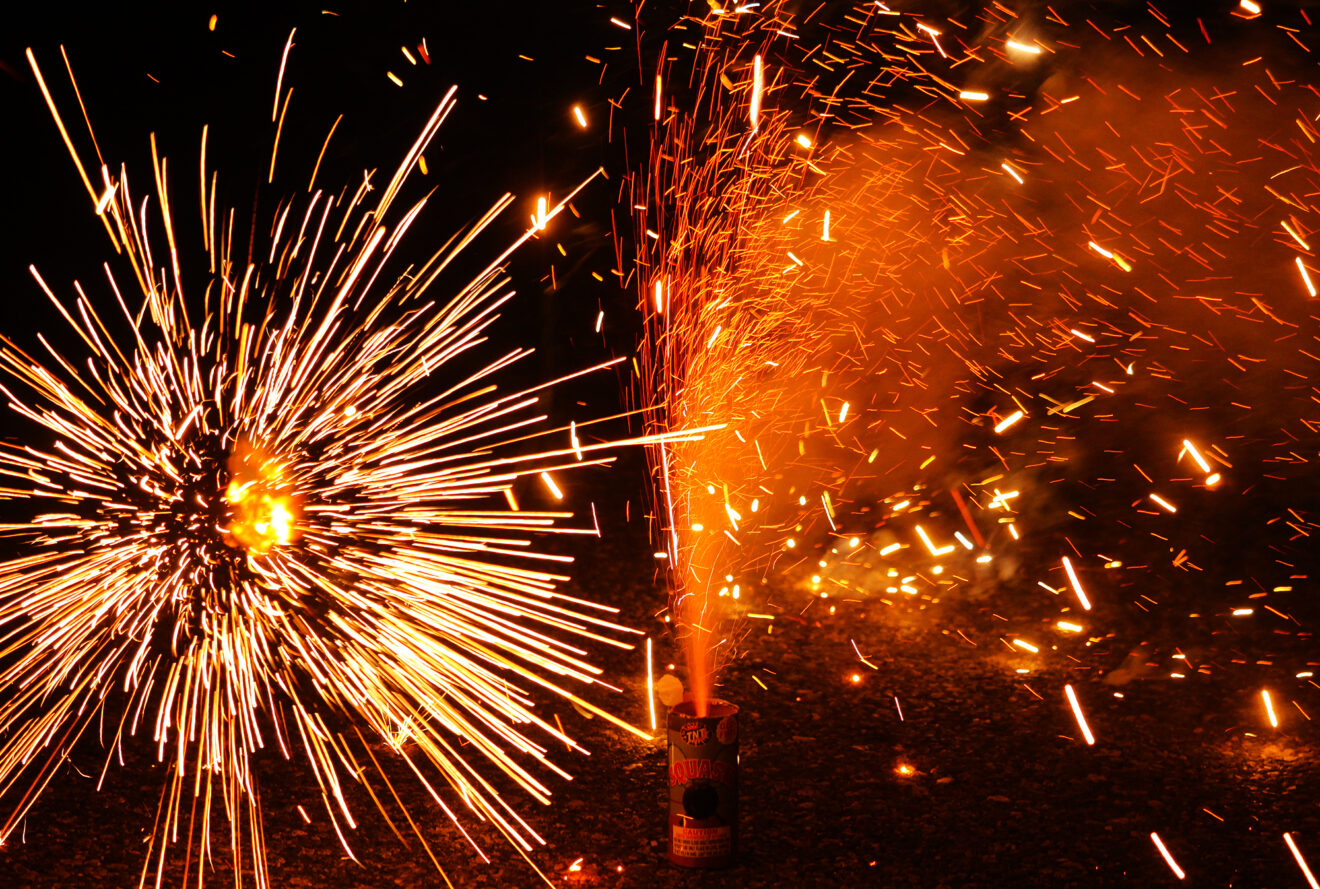 How to protect your pet from the effects of fireworks noise • Long ...