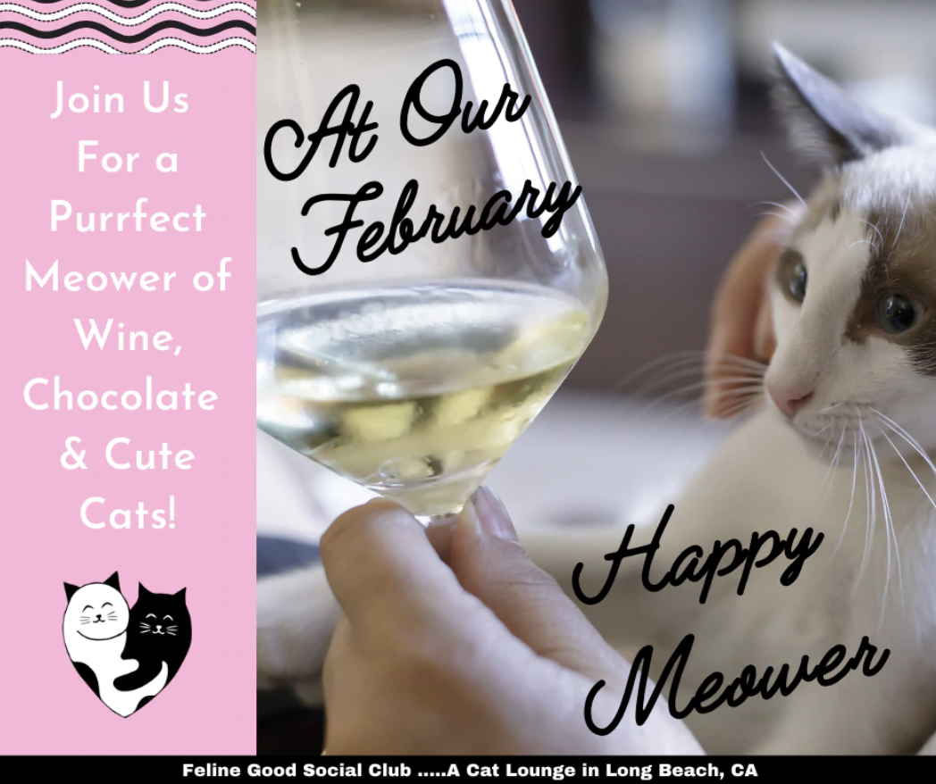 Things to do in Long Beach this weekend including... kitten social time ...