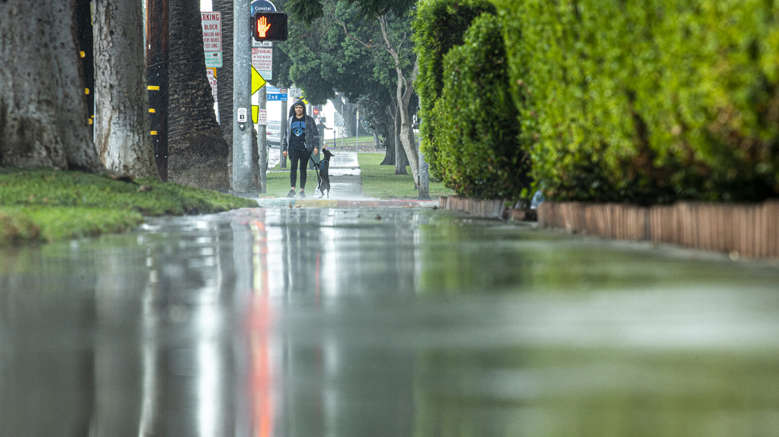 Long Beach issues rain advisory, offering sandbags to residents • Long ...