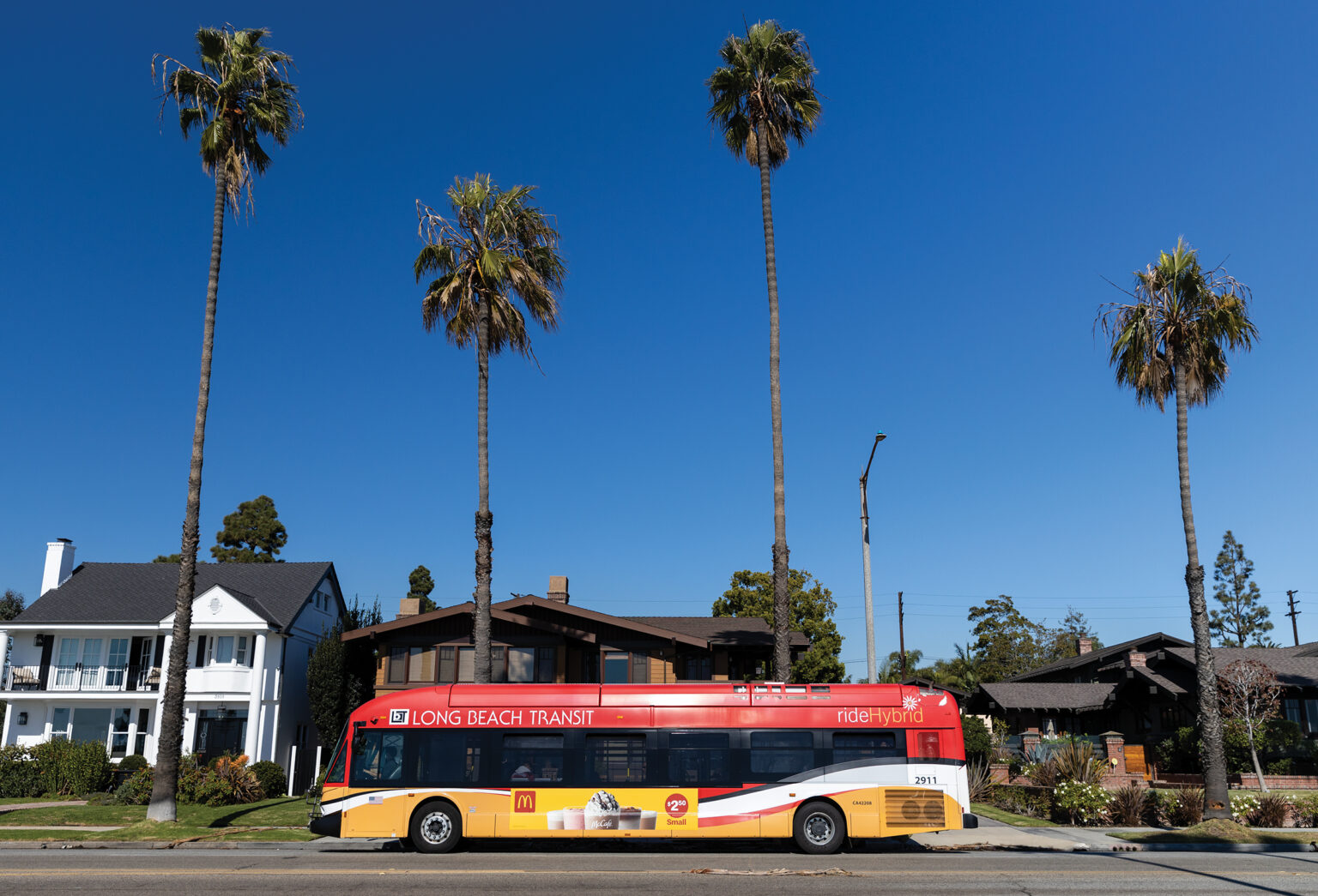 Long Beach Transit looks forward to expanded service, green fleet next ...