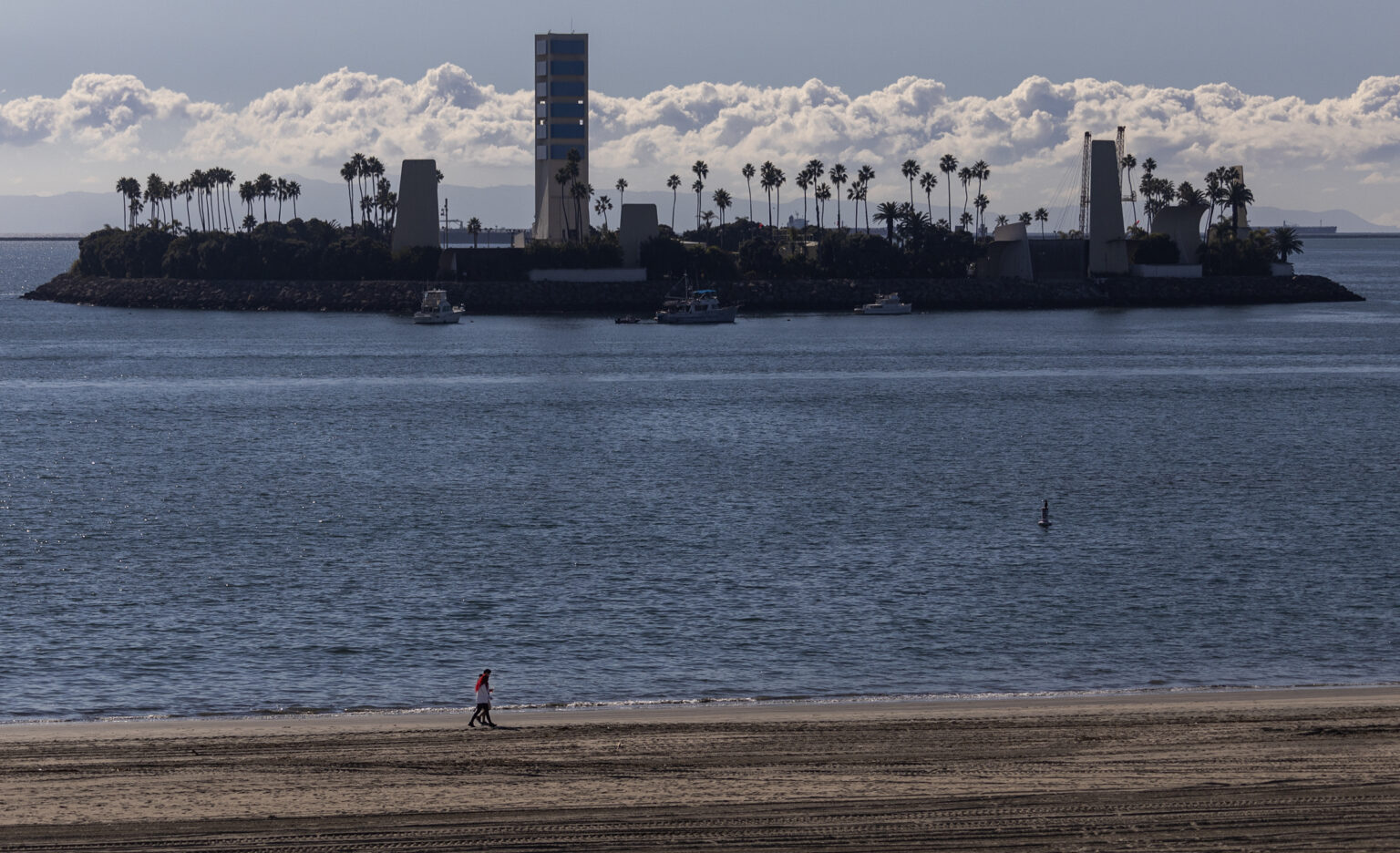 Tourists find decapitated dolphin on Long Beach shoreline after botched ...