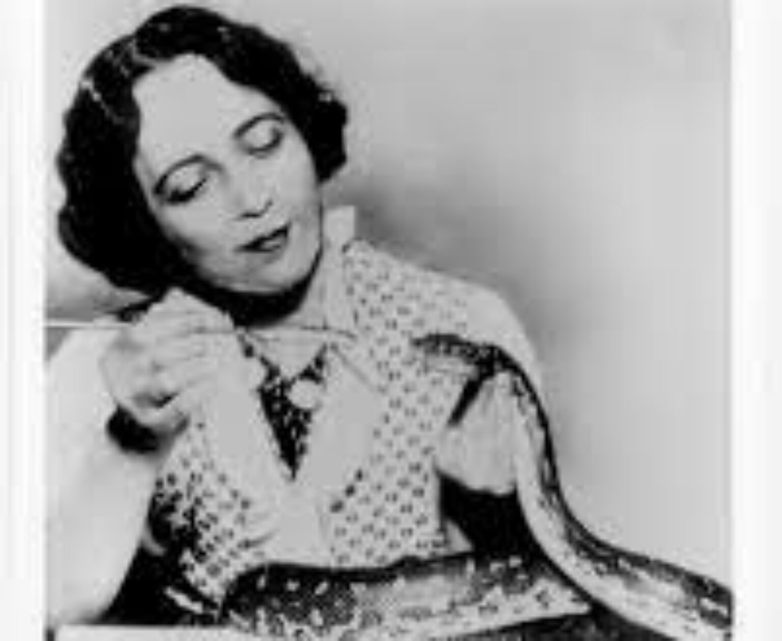 Local history: Long Beach's renowned snake whisperer, Grace Olive Wiley ...