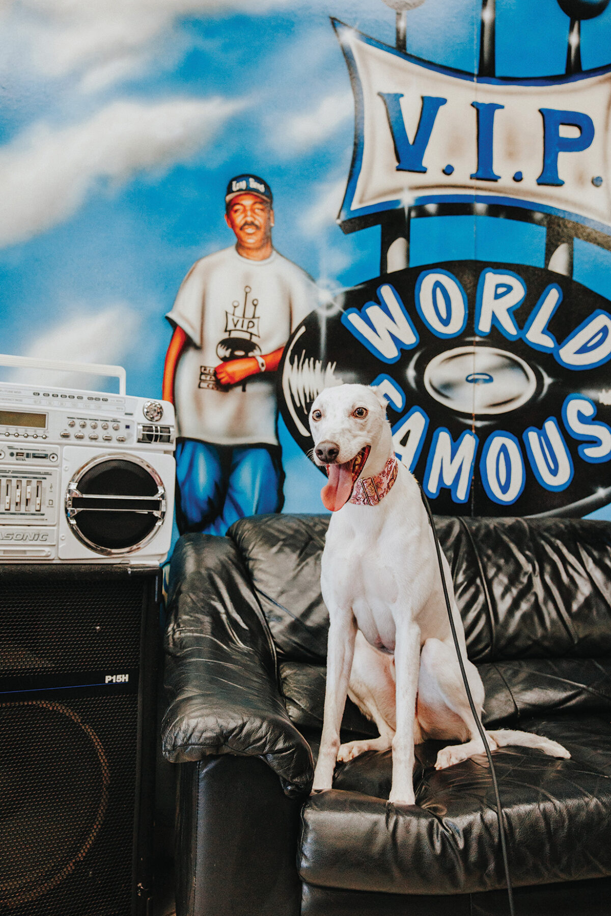 'Dawgs of LBC' is a love letter to Long Beach's streets, beaches and ...