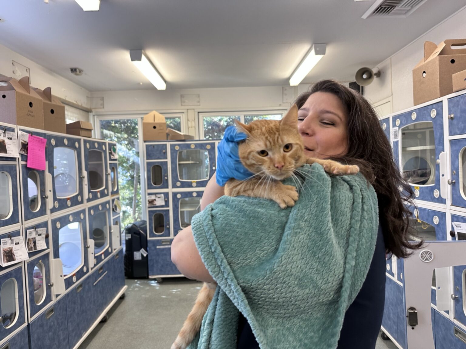 LA City Council confirms Staycee Dains as new head of Animal Services ...