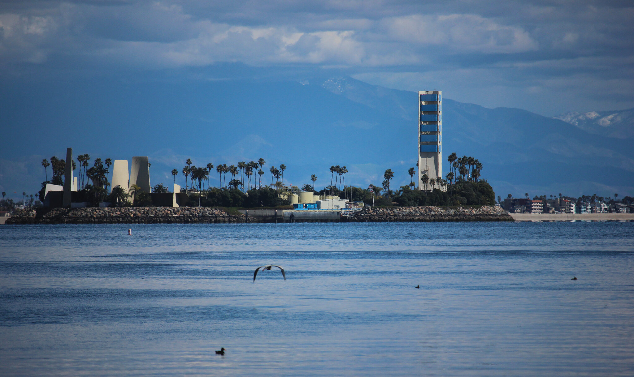 High oil prices to bring back drilling activity in Long Beach, Signal ...
