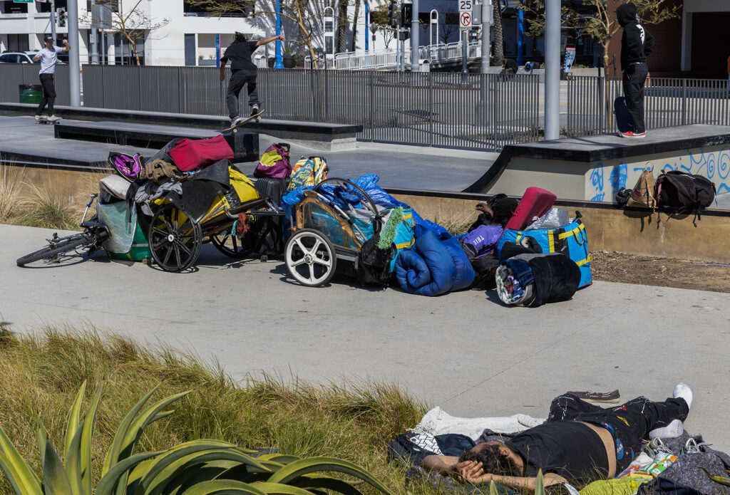 Survey says: Residents want safety, homelessness addressed in Long ...