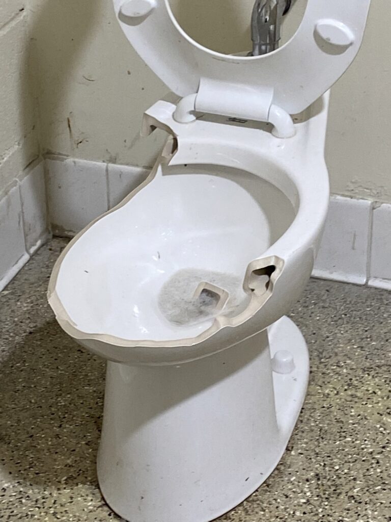 New park ambassador program will help make public restrooms cleaner and ...