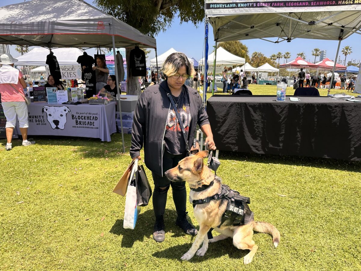 Photos: 53 pets find new homes at 2nd annual Summer Pet Adoption ...