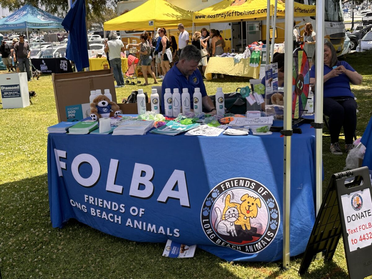 Photos: 53 pets find new homes at 2nd annual Summer Pet Adoption ...