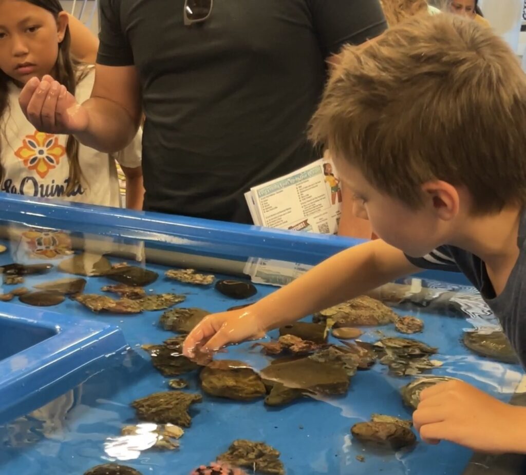 Hundreds visit CSULB to take part in Shark Lab tour, interactive ...