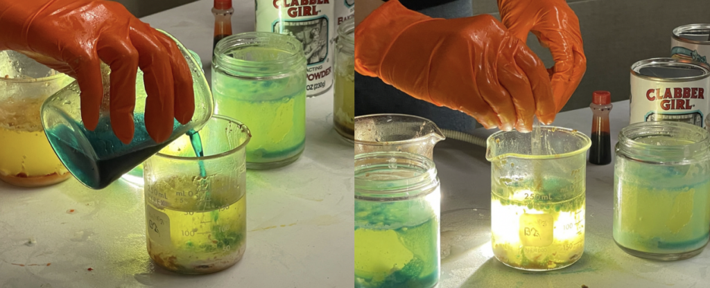 Hundreds visit CSULB to take part in Shark Lab tour, interactive science experiments • Long ...