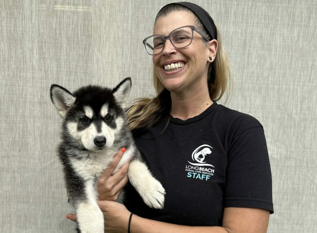 Meet Melanie Wagner, the Long Beach animal shelter's interim director ...