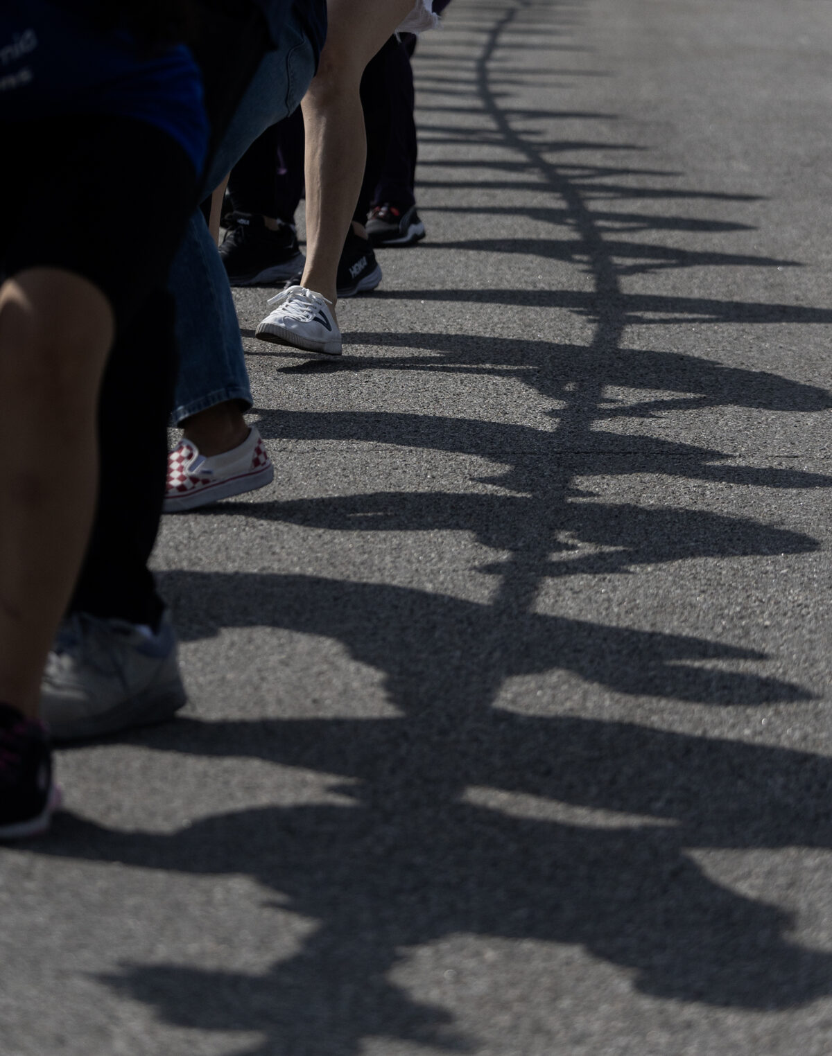 Photos: Annual Plane Pull raises $235K for Special Olympics Southern ...