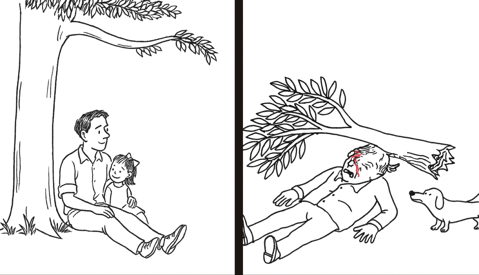 Jury awards $5 million to man hit by 200-pound falling tree branch in ...