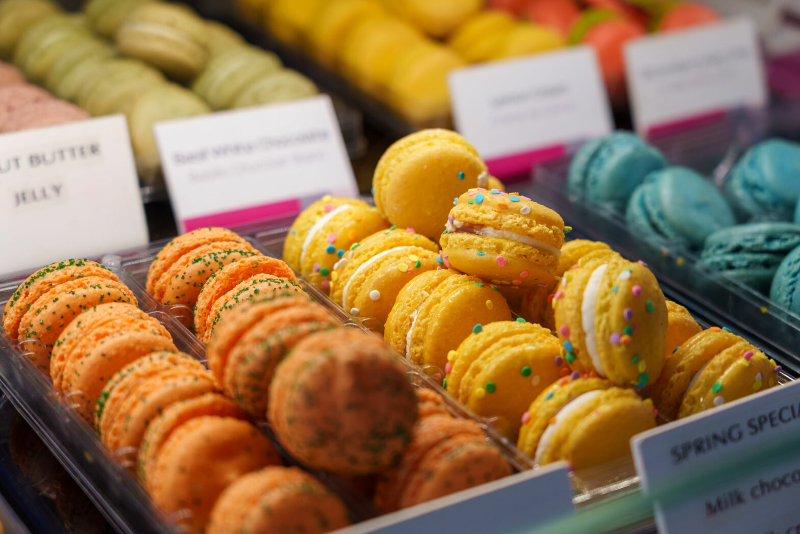 Le Macaron shop set to open in late summer on Belmont Shore's 2nd ...