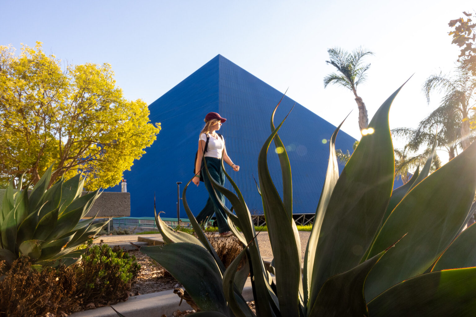 The Cal State Loophole: How to take classes at CSULB without applying ...