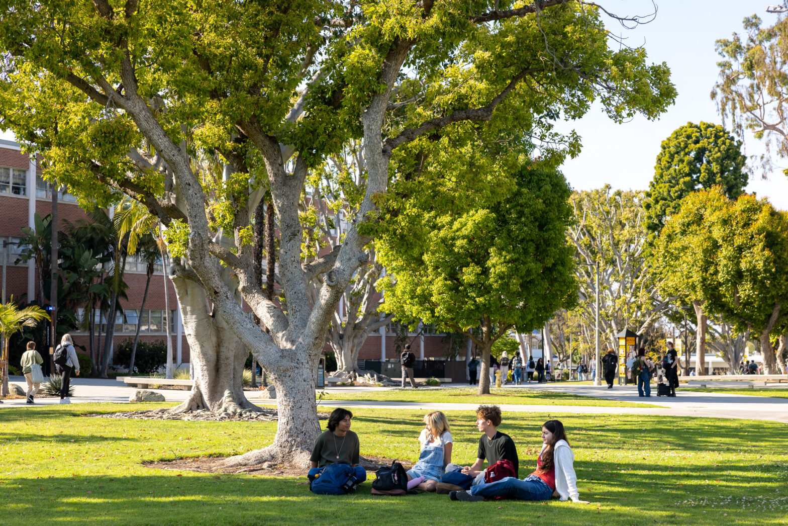 New year, new goals: take CSU classes without committing to a full ...