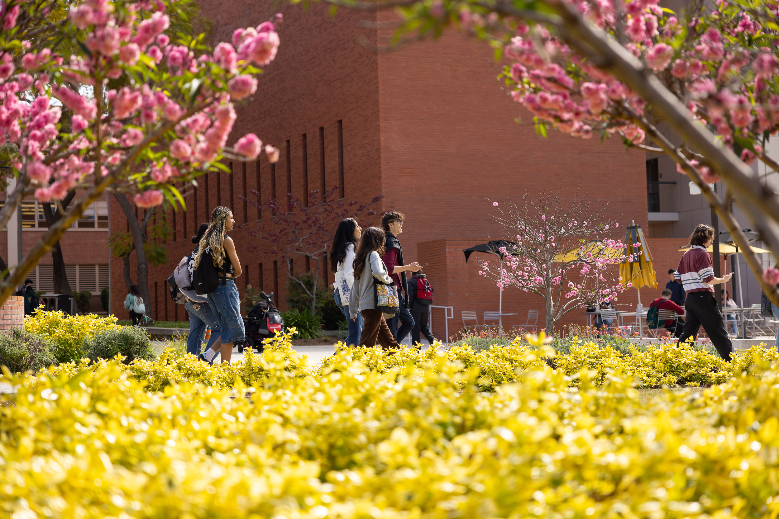 New year, new goals: take CSU classes without committing to a full ...